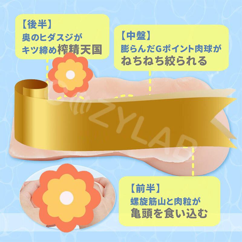 【新品上市】COZYLAB 帕豹 Pabo Vtuber 飛機杯 半身娃娃 動漫名器 自慰杯 自慰器 情趣用品 情趣精品 | 露天市集 | 全台最大的網路購物市集