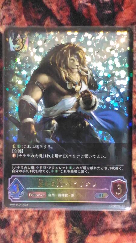 【阿布拉雜貨】闇影詩章 Shadowverse EVOLVE BP07-SL04 王たる光・ベイリオン SL - 現貨 | 露天市集 | 全台最大的網路購物市集