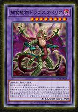 APP STORE ~ RC04-JP028 捕食植物 豹皮花龍 (亮面) | 露天市集 | 全台最大的網路購物市集