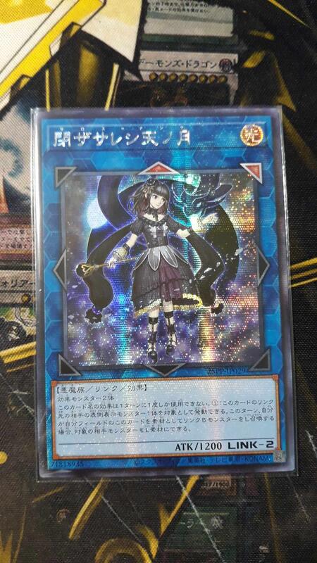 [九四賣客] 25PP-JP029 閉天之月 月蝕的南納 (半鑽) | 露天市集 | 全台最大的網路購物市集