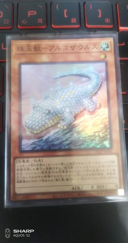 [叢雲自賣]23TP-JP201 珠玉獸 阿爾戈龍 (亮面 全鑽) | 露天市集 | 全台最大的網路購物市集