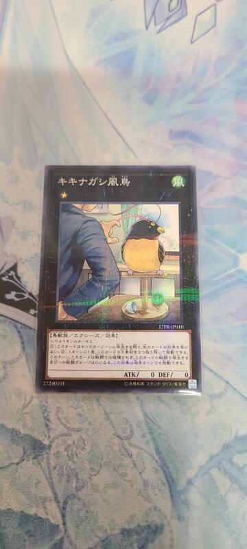 《LN卡鋪》17PR-JP010 耳邊風鳥 (普鑽) 搜18PR-JP005 | 露天市集 | 全台最大的網路購物市集