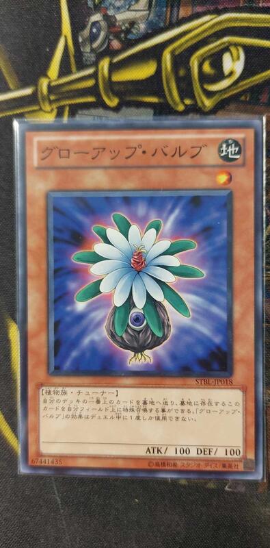 [九四賣客] STBL-JP018 成長球莖 (普卡) CG | 露天市集 | 全台最大的網路購物市集