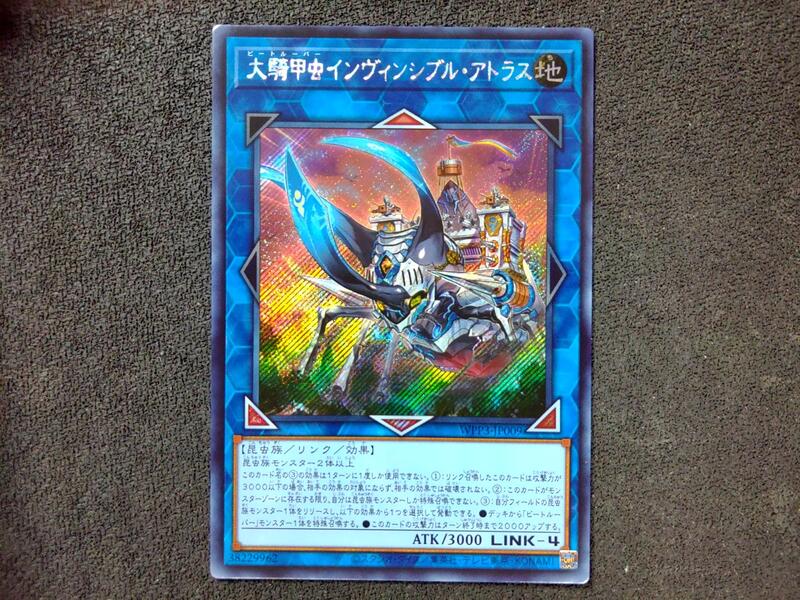 (新世界) WPP3-JP009 大騎甲蟲 無敵阿特拉斯大兜蟲 銀字斜鑽 99-97分 | 露天市集 | 全台最大的網路購物市集