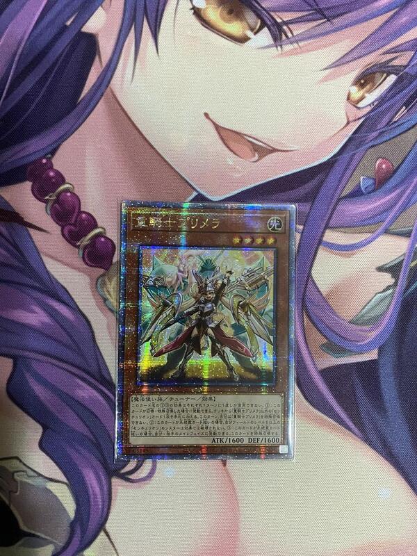 《現貨不用等》韓紙 遊戲王 DBVS-JP016 金鑽 重騎士 | 露天市集 | 全台最大的網路購物市集