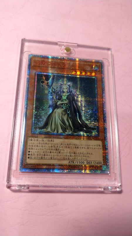 遊戲王 韓紙 代賣1006 SOFU-JP026 幻妖林中女妖(20th紅鑽)(全新未使用)+送壓克力 | 露天市集 | 全台最大的網路購物市集