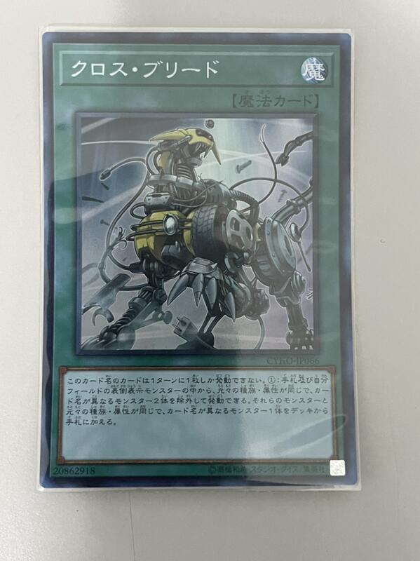 CYHO-JP066 交叉混種 (亮面) | 露天市集 | 全台最大的網路購物市集