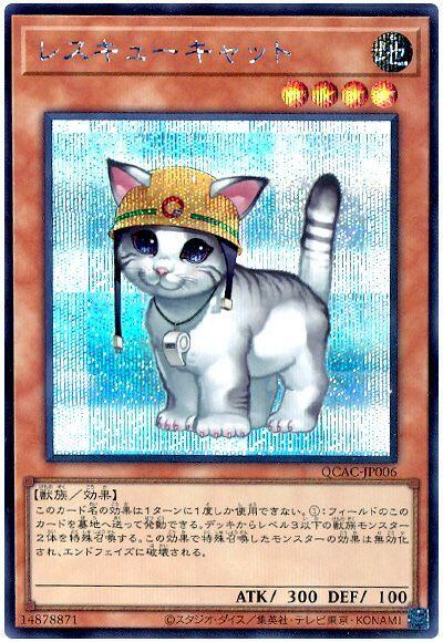 【樂遊wow】韓紙 QCAC-JP006 救援貓 (半鑽) | 露天市集 | 全台最大的網路購物市集