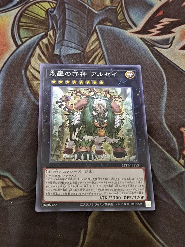 {DARK拍賣}遊戲王-普卡 22TP-JP113 森羅的守神森精 | 露天市集 | 全台最大的網路購物市集