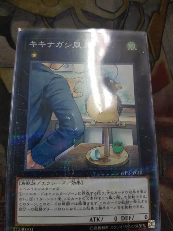 (EVA)17PR-JP010 耳邊風鳥 (普鑽) | 露天市集 | 全台最大的網路購物市集