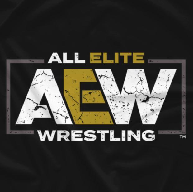 [美國瘋潮]正版All Elite Wrestling AEW Logo T-shirt 精英摔角品牌衣服Y2J WWE | 露天市集 | 全 ...