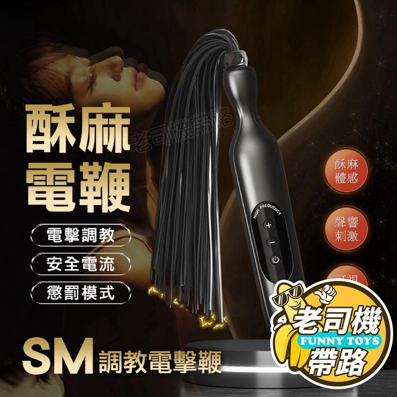【台灣現貨】Roomfun 房趣 電散鞭 sm 情趣 皮鞭 電擊鞭 BDSM 情趣玩具 調教 情趣皮鞭 成人 情趣用品 | 露天市集 | 全台最大的網路購物市集