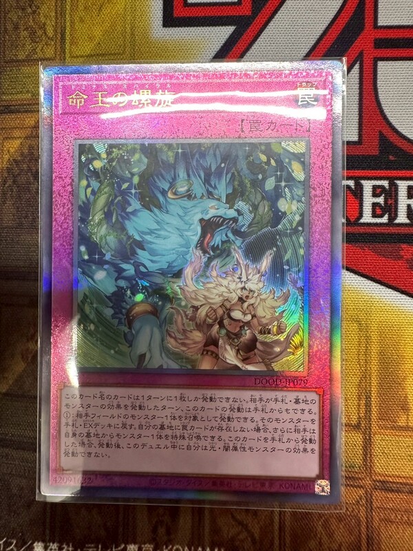 【這裡有桌遊】遊戲王 DOOD-JP079 命王的螺旋 (凸版浮雕) | 露天市集 | 全台最大的網路購物市集