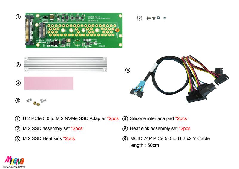 U.2 PCIe 5.0 to M.2 SSD x2pcs+MCIO 74P to U.2 x2 YCable,50cm | 露天市集 | 全 ...