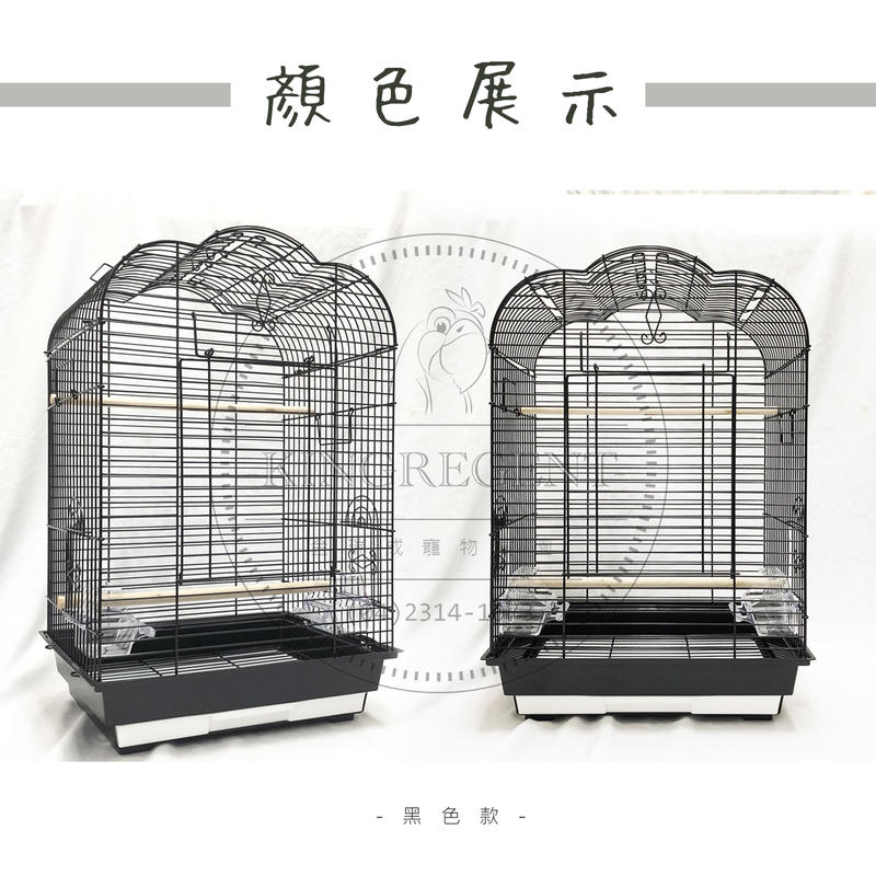 金瑞成鳥園->多功能雲狀造型鳥籠6113-OP滾輪腳架組/安全烤漆、耐咬、耐用、空間大/適合中小型鳥 | 露天市集 | 全台最大的網路購物市集