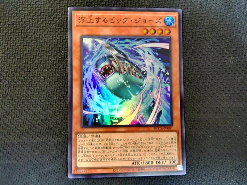 (新世界) ROTA-JP001 浮上的大口鯊 亮面 99-95分(宇 寄 | 露天市集 | 全台最大的網路購物市集