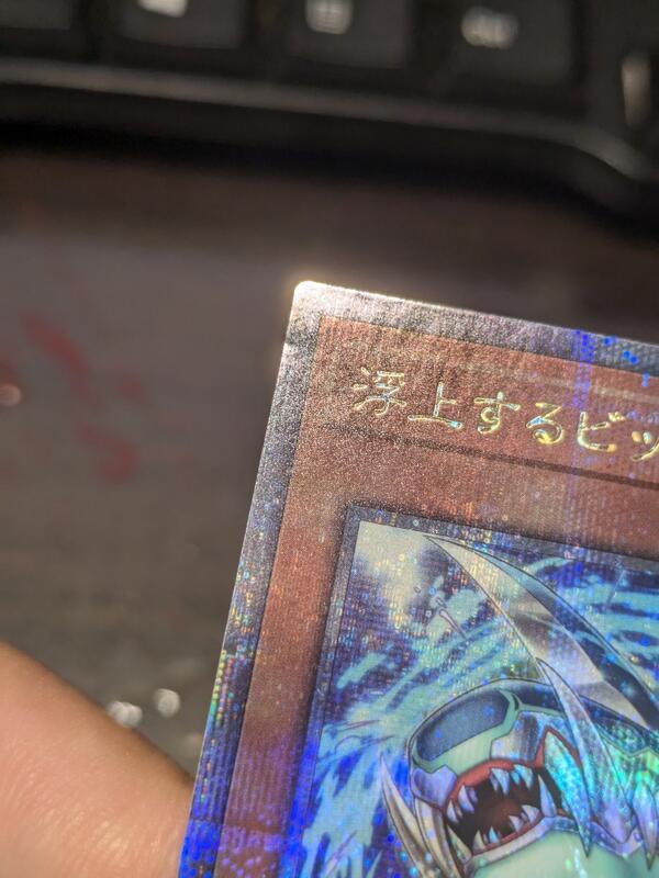 日ROTA-JP001 浮上的大口鯊 (金鑽) | 露天市集 | 全台最大的網路購物市集