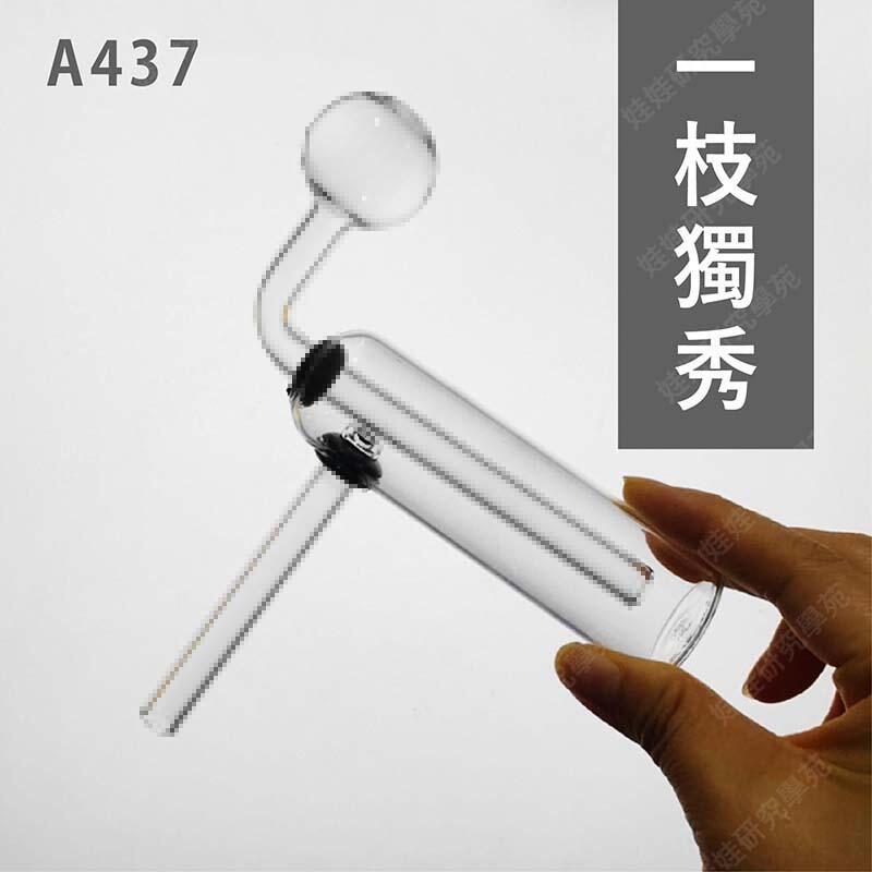 ㊣娃娃研究學苑㊣一枝獨秀 清透掌握瓶 藝品( A437) | 露天市集 | 全台最大的網路購物市集