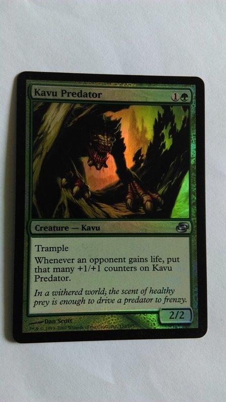 魔法部屋MTG單張卡出售【英文NM閃】時空混沌 Kavu Predator 掠食卡甫 | 露天市集 | 全台最大的網路購物市集