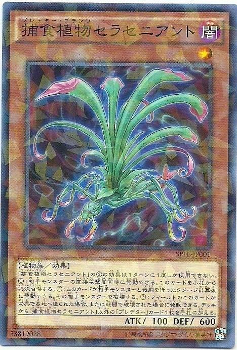 萬隆達*SPFE-JP001捕食植物 瓶子草蟻 (碎鑽普卡) 損卡/背刮 | 露天市集 | 全台最大的網路購物市集