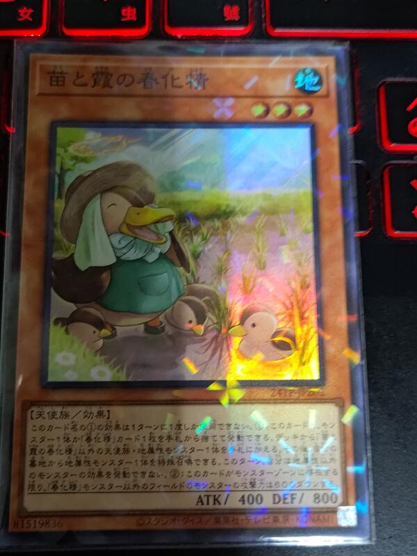 [叢雲自賣]24TP-JP202 苗與霞的春化精 (亮面全鑽) | 露天市集 | 全台最大的網路購物市集