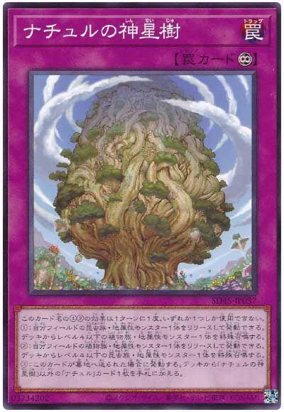 【CardMaster】遊戲王 SD45-JP037、NECH-JP076 自然的神星樹 (普卡) | 露天市集 | 全台最大的網路購物市集