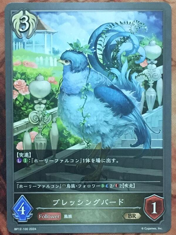 【阿布拉雜貨】闇影詩章 Shadowverse EVOLVE BP12-100 ブレッシングバード BR - 現貨 | 露天市集 | 全台最大的網路購物市集