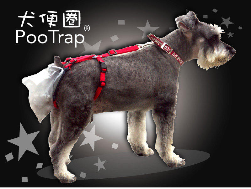 不用再撿狗大便 狗狗行動馬桶 犬便圈PooTrap【ofpet-犬便圈1組+ 犬便袋30入1盒】中型犬適用 遛狗免煩惱 | 露天市集 | 全台 ...