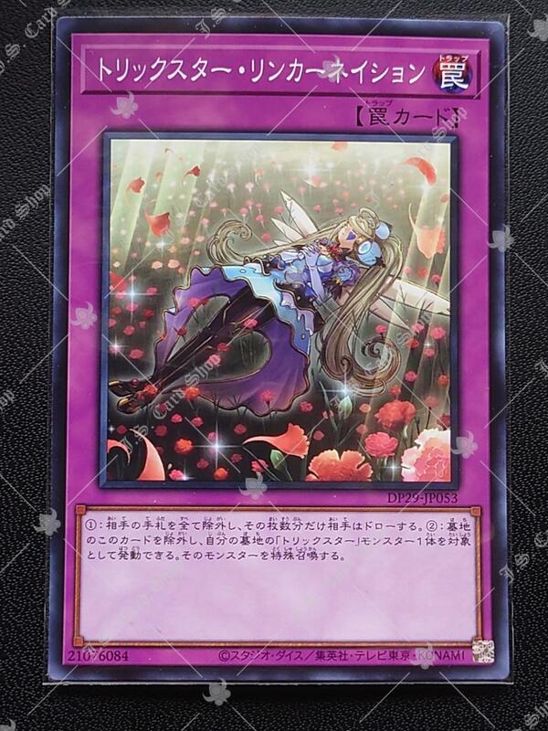 《J.S.卡鋪》DP29-JP053 花樣明星康乃馨輪迴 (普卡) | 露天市集 | 全台最大的網路購物市集