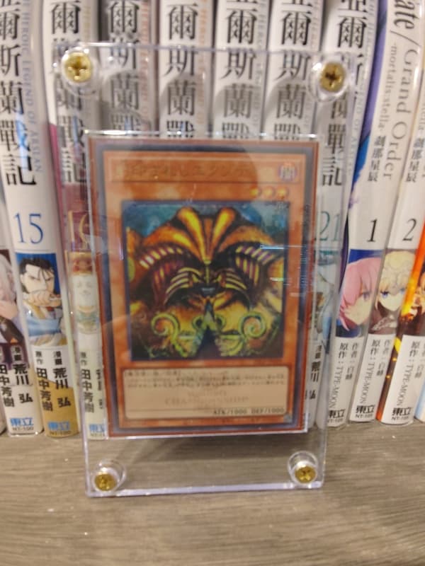 遊戲王 25LP-JP000 被封印的艾克索迪亞 金亮 2025世界賽 鋼印 | 露天市集 | 全台最大的網路購物市集