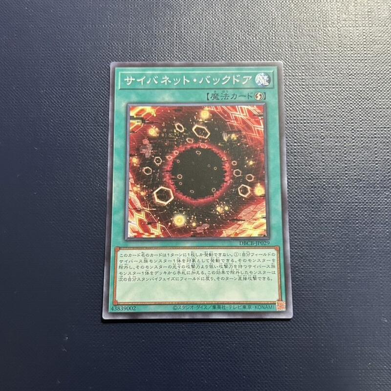 (雪鴞) DBCB-JP029 電腦網後門 (普卡) | 露天市集 | 全台最大的網路購物市集