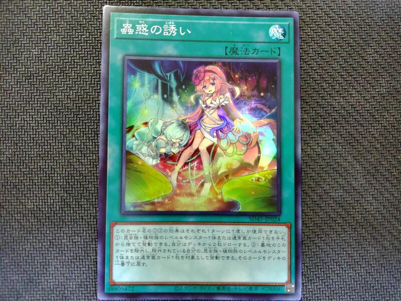 (新世界) SD45-JP024 蟲惑的誘惑 亮面 99-95分 | 露天市集 | 全台最大的網路購物市集