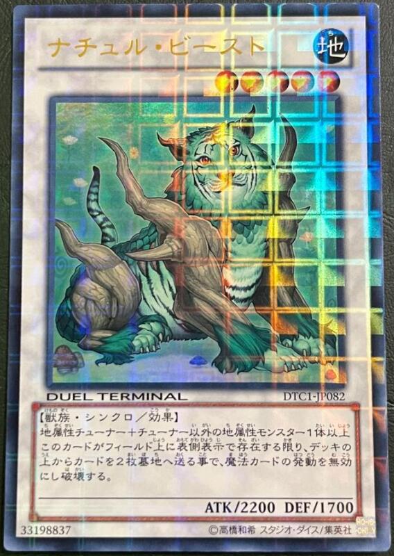 【伯明罕】DTC1-JP082 自然獸 (金亮方鑽) (謝) | 露天市集 | 全台最大的網路購物市集