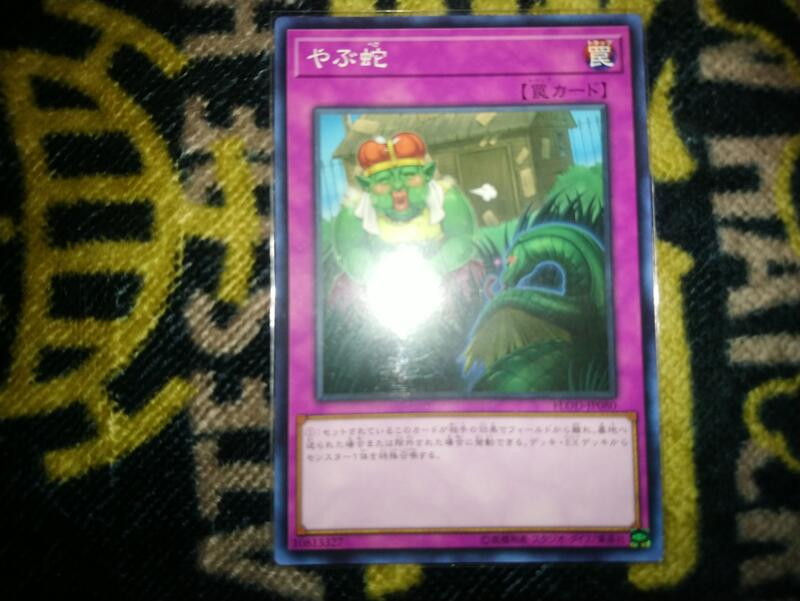 【文化卡鋪】FLOD-JP080 打草驚蛇 沒事找蛇 (隱普) | 露天市集 | 全台最大的網路購物市集