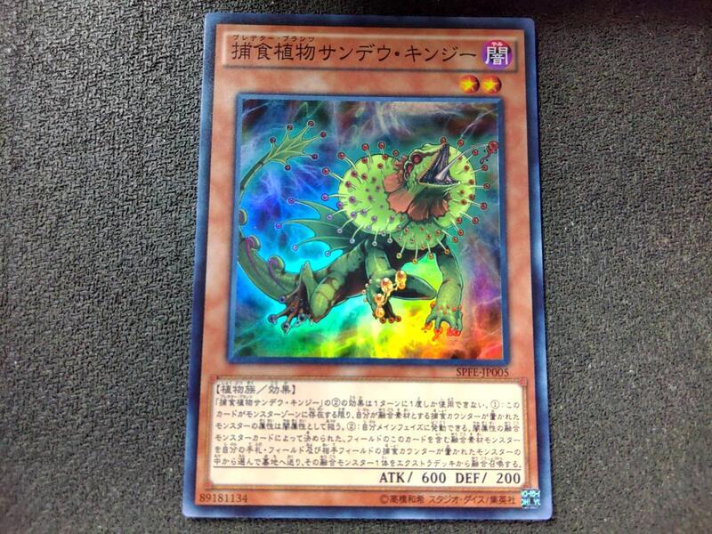 (新世界) SPFE-JP005 捕食植物 茅膏菜傘蜥 亮面 90-85分 | 露天市集 | 全台最大的網路購物市集