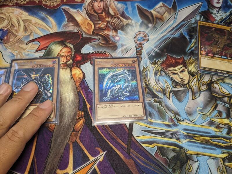 日 QCCP-JP001 青眼白龍 (SE) | 露天市集 | 全台最大的網路購物市集