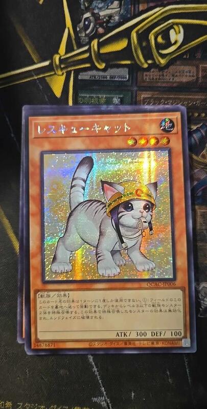 [九四賣客] QCAC-JP006 救援貓 半鑽 異圖 | 露天市集 | 全台最大的網路購物市集