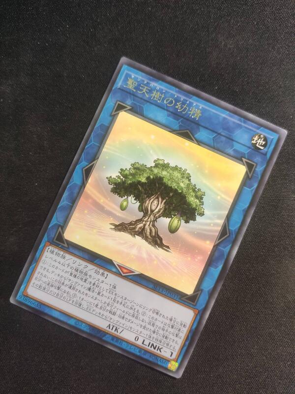KC娛樂集團 遊戲王 SLT1-JP031 聖天樹之幼精 (銀字)韓紙 | 露天市集 | 全台最大的網路購物市集