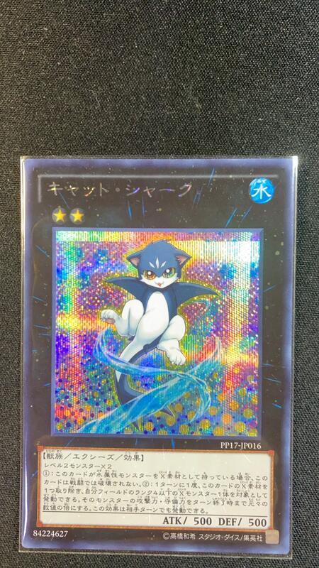 N2 貓鯊 半鑽 PP17-JP016 90分 日製 | 露天市集 | 全台最大的網路購物市集