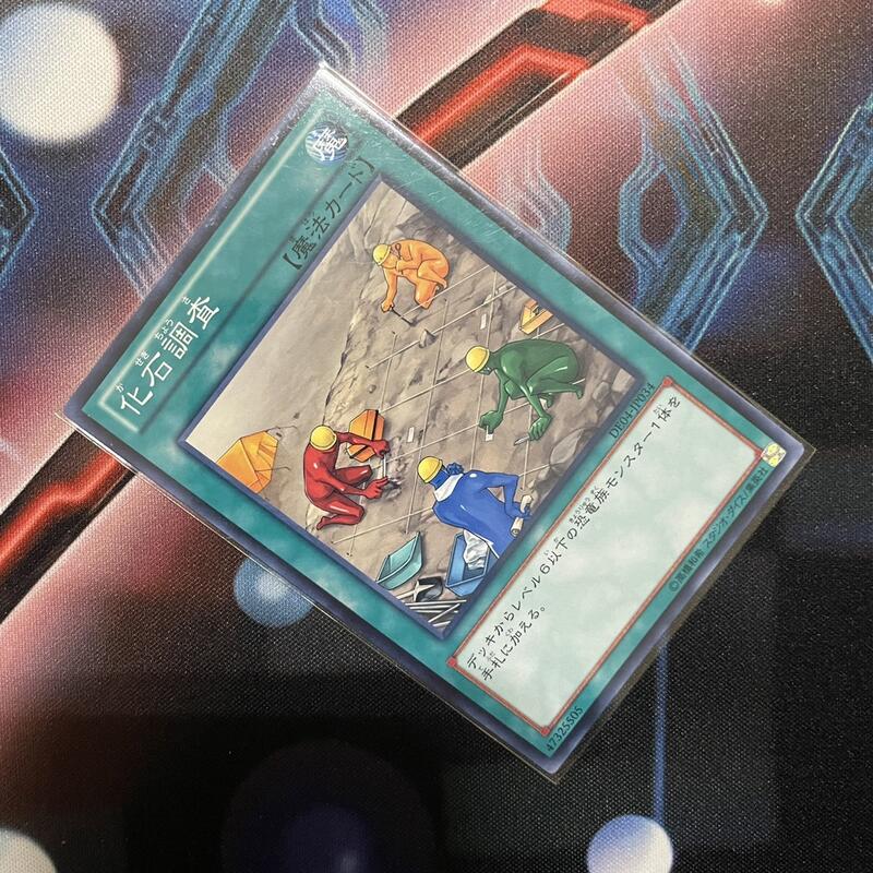 化石調查 (DE04-JP034 21TP-JP411 | 露天市集 | 全台最大的網路購物市集