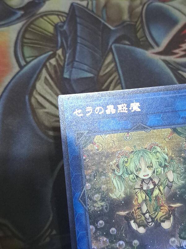 {DARK拍賣}遊戲王-半鑽 SD45-JPP03 毛氈苔之蟲惑魔 | 露天市集 | 全台最大的網路購物市集