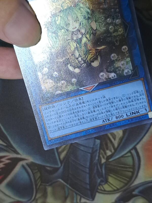 {DARK拍賣}遊戲王-半鑽 SD45-JPP03 毛氈苔之蟲惑魔 | 露天市集 | 全台最大的網路購物市集