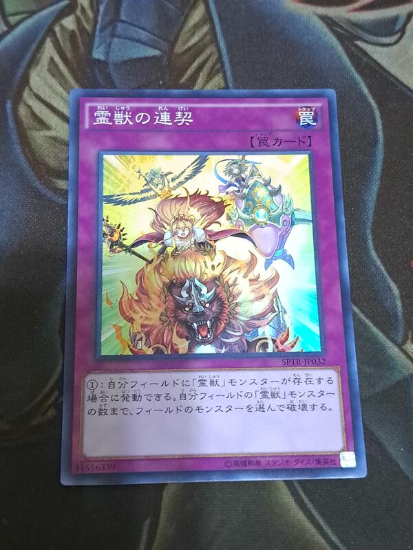{DARK拍賣}遊戲王-亮面 SPTR-JP032 靈獸的連契 | 露天市集 | 全台最大的網路購物市集