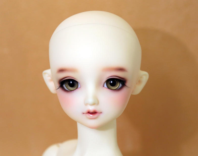 Lieselotte Volks