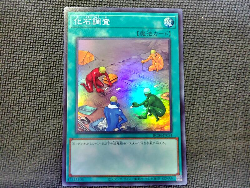 (新世界) RC04-JP054 化石調査 亮面 99-95分 | 露天市集 | 全台最大的網路購物市集