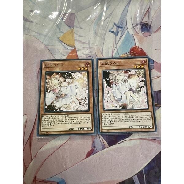 MACR-JP036 RC02-JP009 RC03-JP010 PAC1-JP016 台紙 灰流麗 灰流 代牌 | 露天市集 | 全台最大的網路購物市集