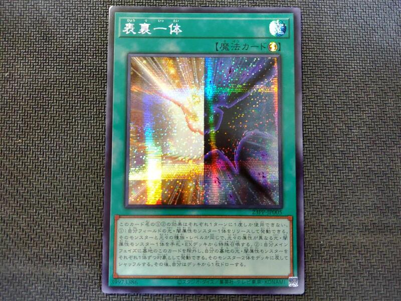 (新世界) 23PP-JP005 表裏一体 銀字半鑽 99-97分(韓紙 | 露天市集 | 全台最大的網路購物市集