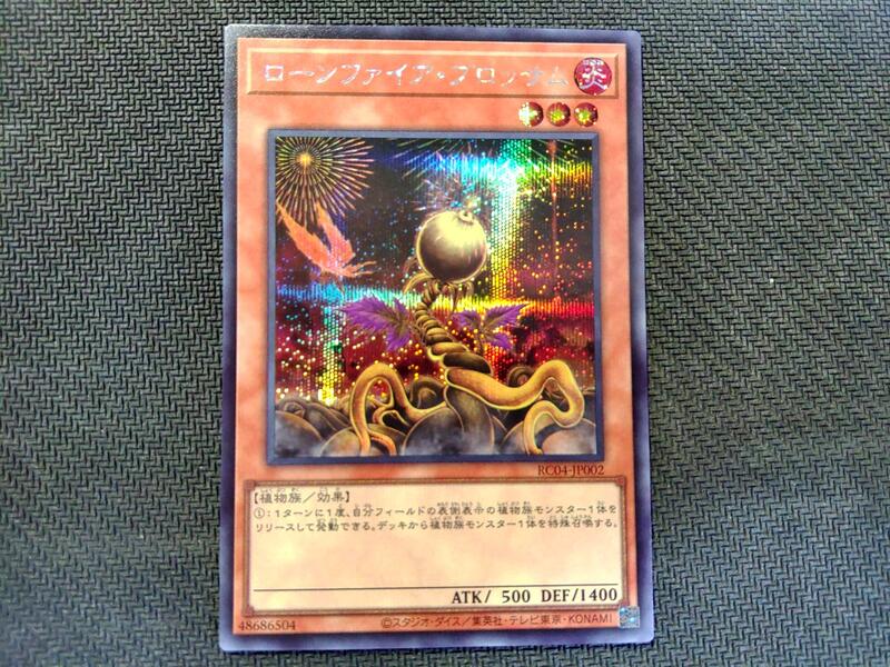 (新世界) RC04-JP002 孤燃花 銀字半鑽 99-97分 | 露天市集 | 全台最大的網路購物市集