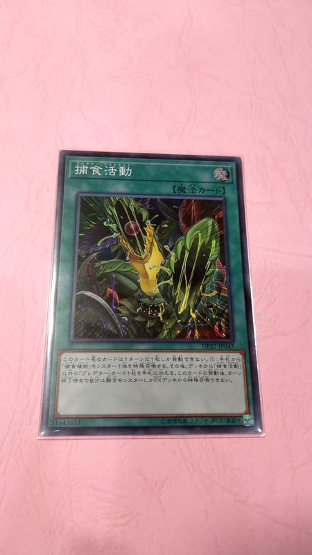 遊戲王 現貨 韓紙 代賣 DP22-JP047 捕食活動 (亮面) (95分) | 露天市集 | 全台最大的網路購物市集