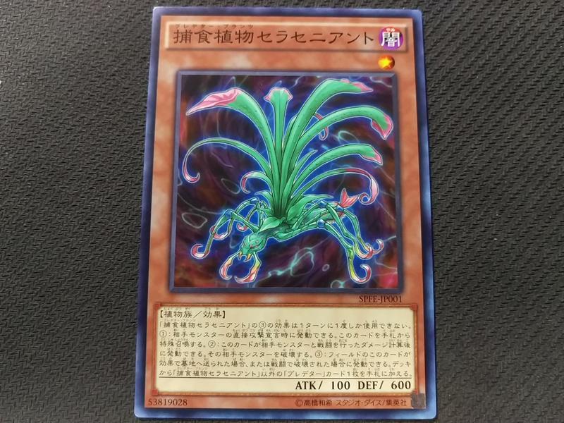 (新世界) SPFE-JP001 捕食植物 瓶子草蟻 普卡 98-90分 | 露天市集 | 全台最大的網路購物市集